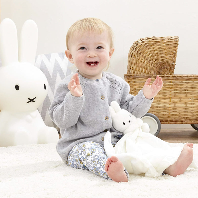 Miffy Baby Comforter Gift Box | Rainbow Designs| Hedgehog Gifts
